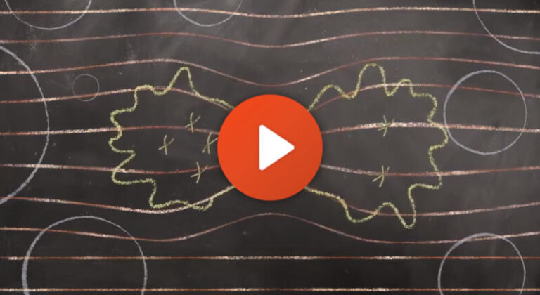 Optune: Therapie Glioblastom & Astrozytom Grad 4 | Optune.de